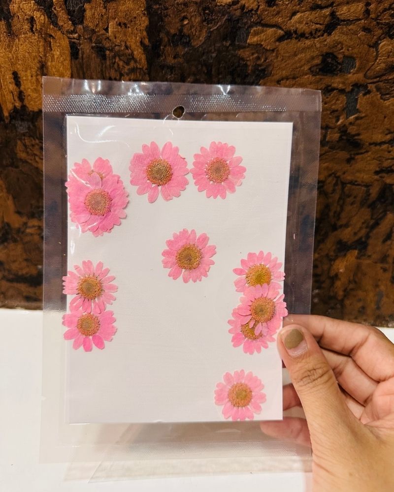 Daisy Press Flower - Light Pink – Art Gossips