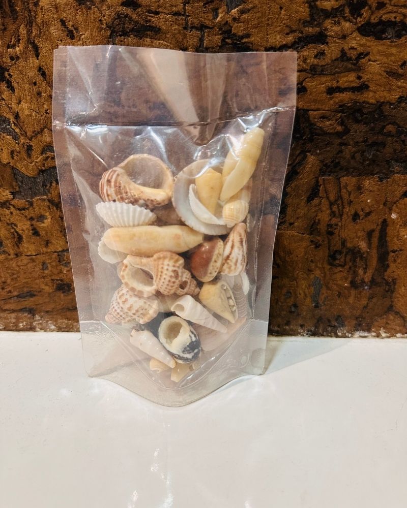 Mix Shell – Art Gossips